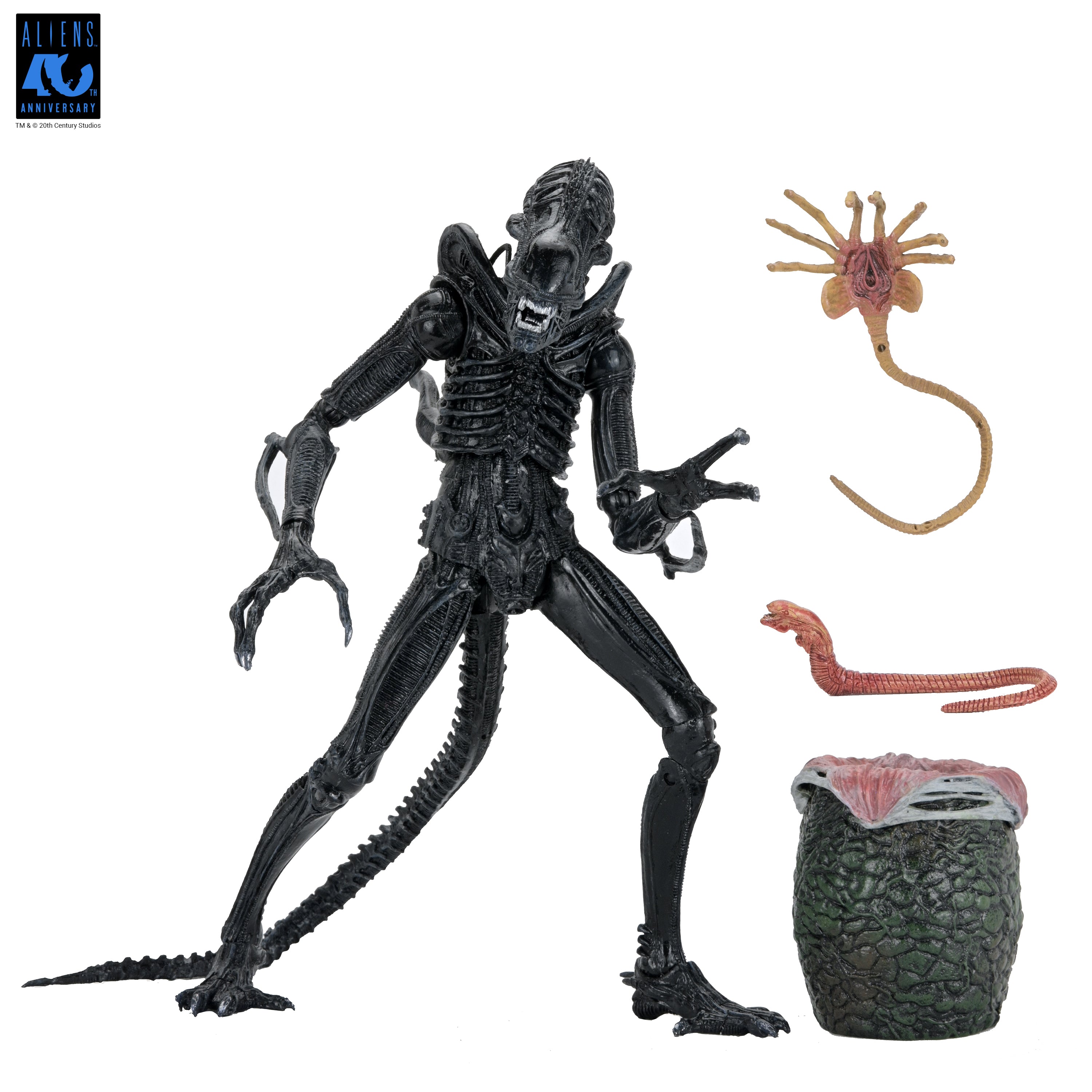 PRE-ORDER NECA - Aliens 40th Anniversary - Ultimate Warrior Xenomorph