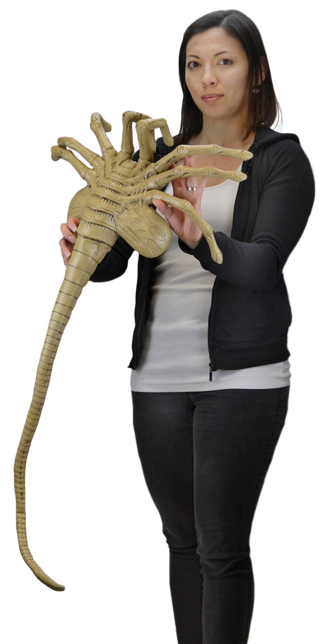 IN-STOCK NECA - Foam Prop Replica - Alien - Life-Size Facehugger