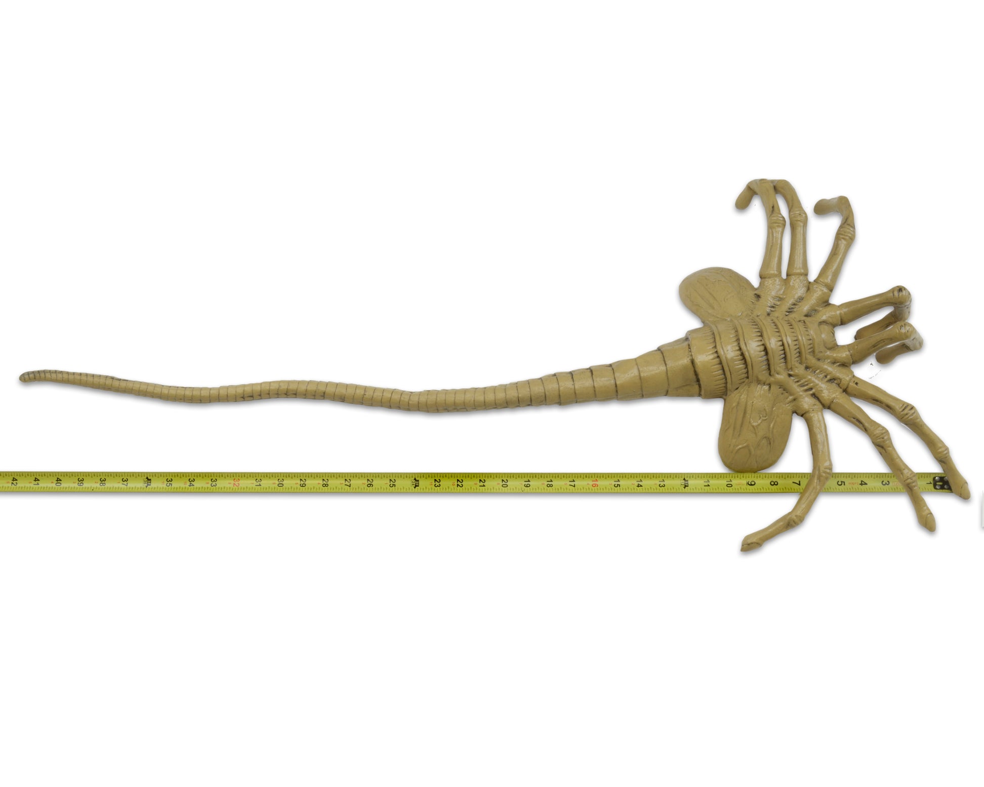 IN-STOCK NECA - Foam Prop Replica - Alien - Life-Size Facehugger