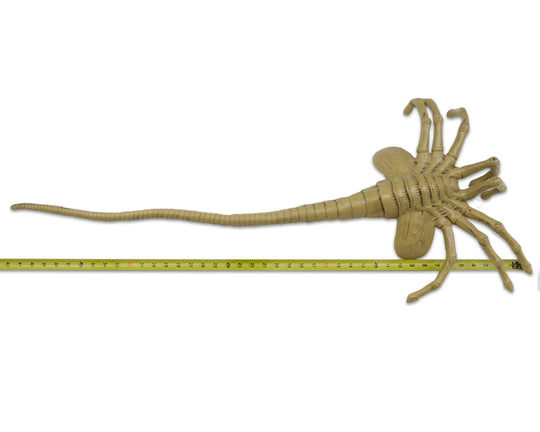 IN-STOCK NECA - Foam Prop Replica - Alien - Life-Size Facehugger